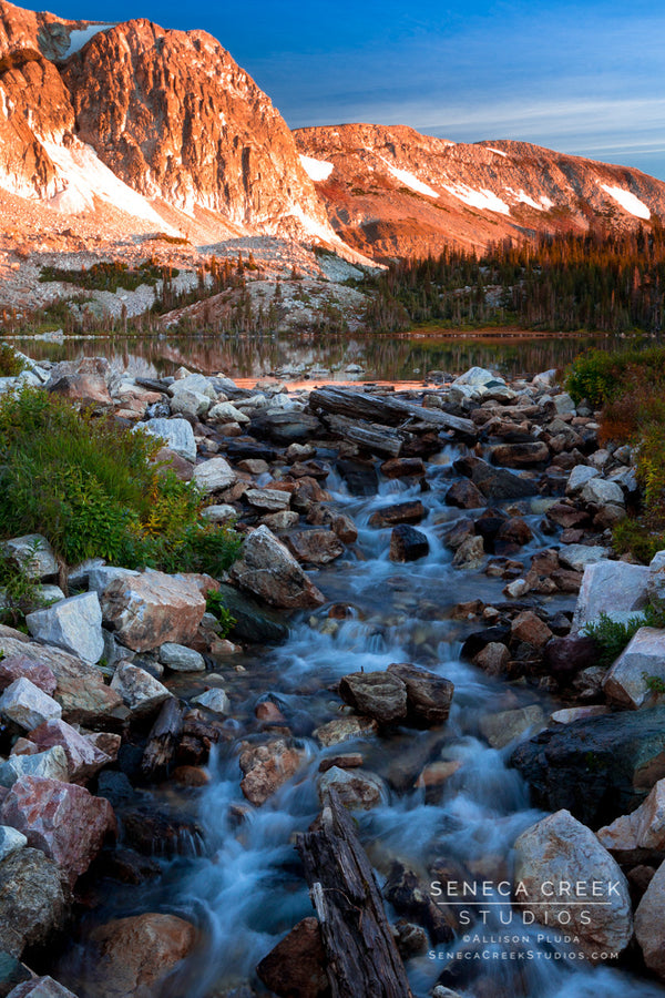 Complete Collection Tagged "still" - Seneca Creek Studios